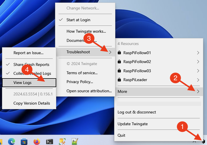 Twingate Client Logs – Twingate
