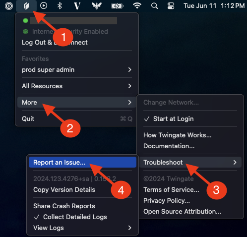 Twingate Client Logs – Twingate