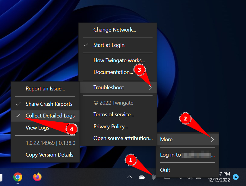 Twingate Client Logs – Twingate