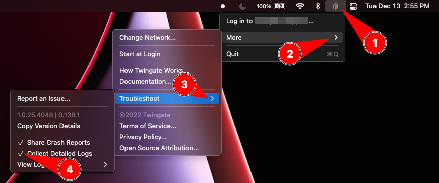 Twingate Client Logs – Twingate
