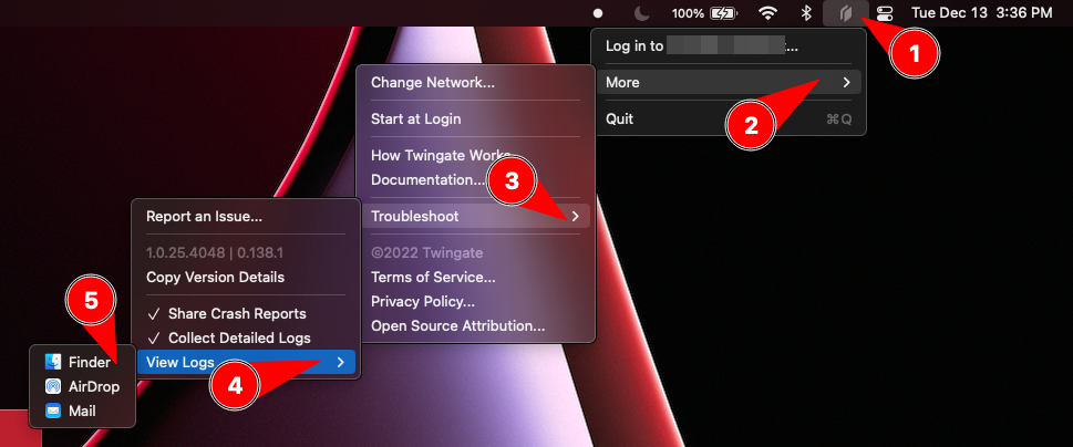 Twingate Client Logs – Twingate